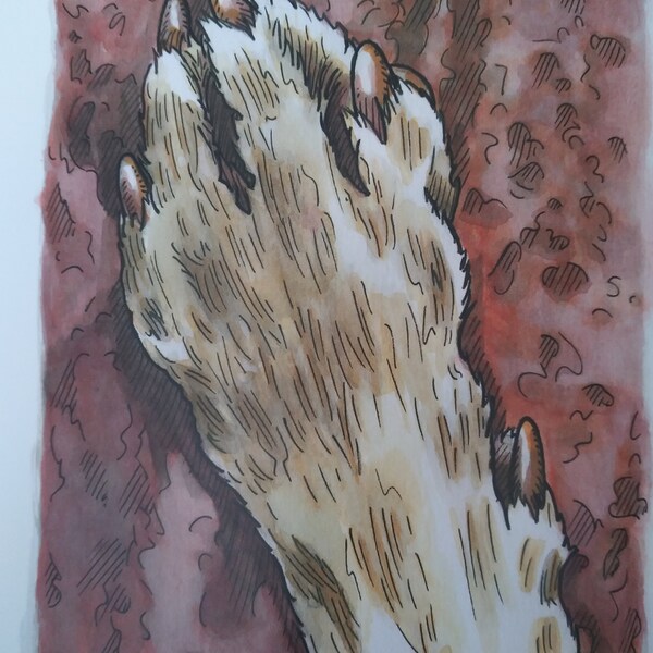 Shut up and Draw, Chapter 1: Where's Willa? - Etsy