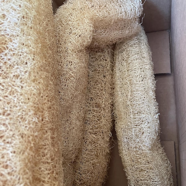 Editable Classroom Donation Printable | Teacher Wish List Items | Meet ...