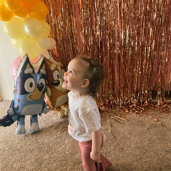 Bluey Birthday Girl Bluey Top Bluey Shirt Bluey Birthday - Etsy