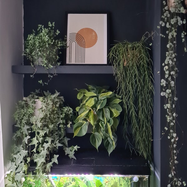 Pvc Foam Board Foamex Foamalite Craft 5mm, Rigid Material White, Black ...