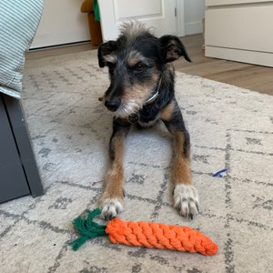 Black Spider Dog Rope Toy, Handmade Sustainable Dog Rope Toys, Toys for ...