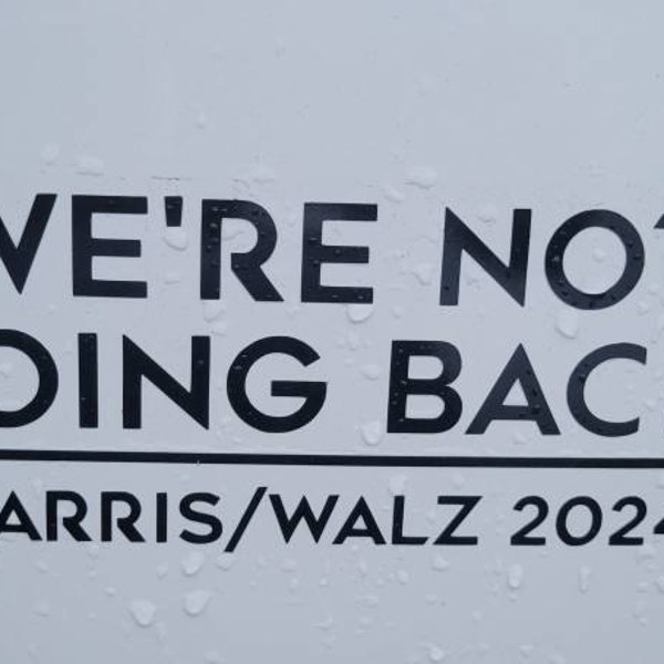 Google Dinosaur Sticker / Decal - Etsy