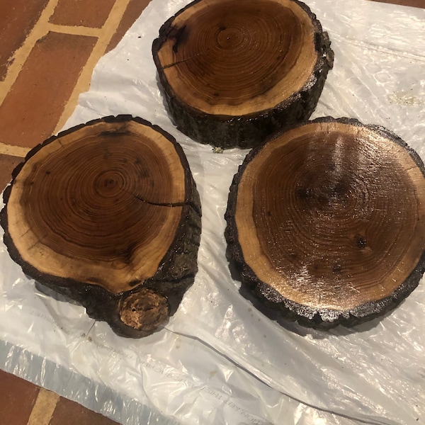 Large Wood Slices, Thick Wood Disks, Wood Slab Centerpiece, Live Edge ...