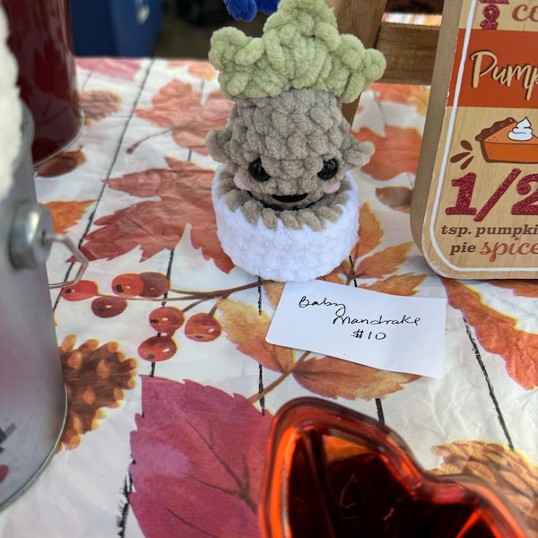 No Sew Cactus Pop-up Crochet Pattern Amigurumi Plant Pattern - Etsy