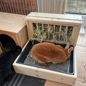 Common Swift Bird Nest Box Zeist Design | Etsy UK