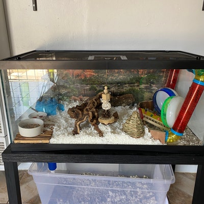 40 Gallon Desert Landscape Tank Background by Petbackdrops Reusable ...