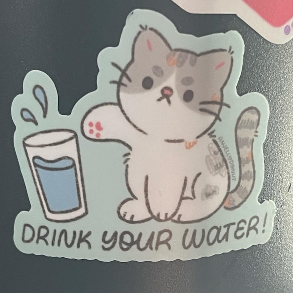 Taylor 13 Vinyl Sticker - Etsy