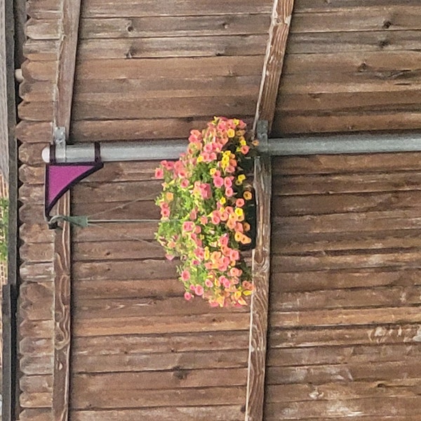 2 PCS Hangs EZ Fence Post Hangers With Ivy Inserts(plant Hanger, Garden ...