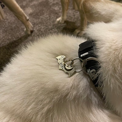 Bat Dog Tag, Spooky Dog Tag, Halloween Pet Tag, Stars Stardust, Web and ...