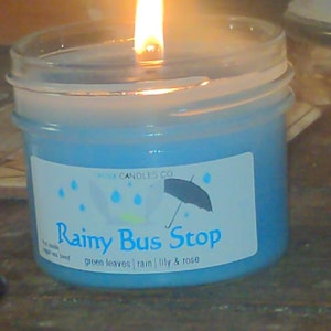 River Spirit Snap Bar Anime Inspired Snap Bar Hand Poured Vegan Wax ...