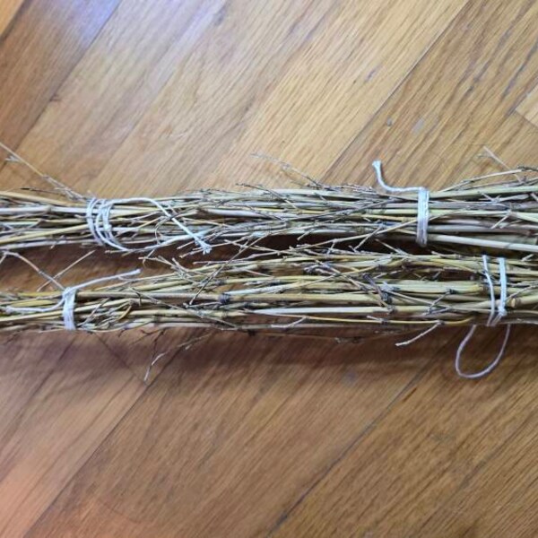 Bamboo Sheaths Natural Organic Substrate for Vivarium, Terrarium ...