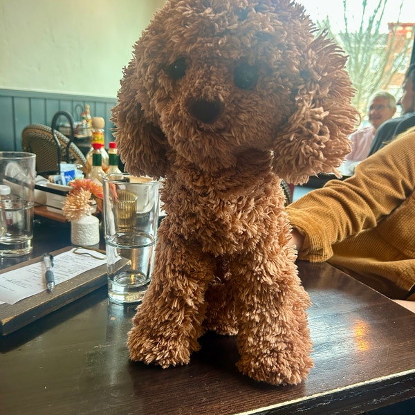 Goldendoodle Crochet Pattern, Crochet Puppy, Dog Crochet Pattern, Dog ...