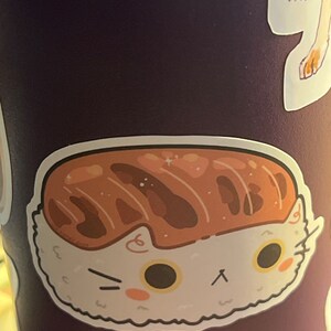 Avocado Cat Sticker Matte Waterproof Vinyl Sticker Cute - Etsy