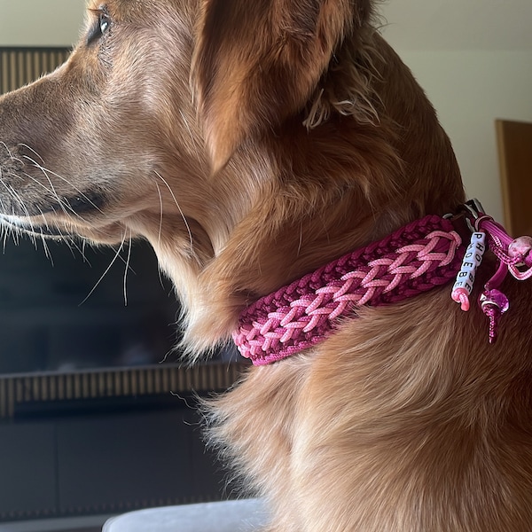 Custom Horse Tack With Name Tag, Personalized Lead Rope for Pets, With ...