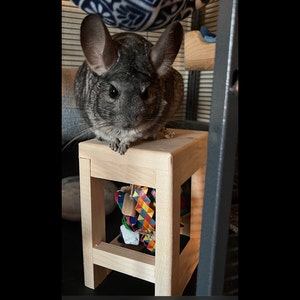 Chinchilla Hut Hideout House Free Standing House for Chinchilla Kiln ...