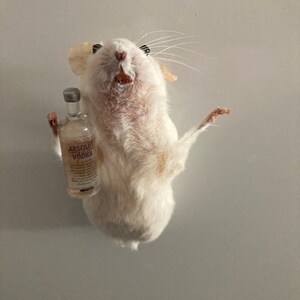 Cunning Linguist Mice - Etsy