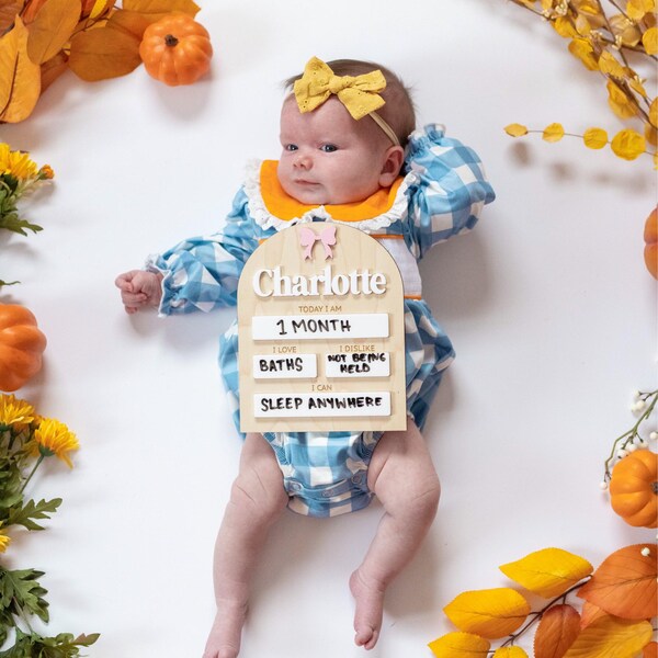 Acrylic Baby Milestone Marker, Baby Milestone Discs, Interchangeable ...