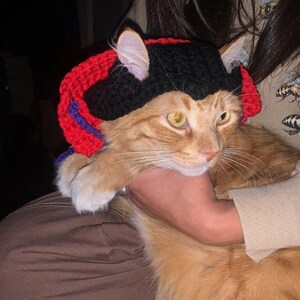 Crochet Pet Pattern Brunhilde Valkyries Wagner Opera Cat - Etsy UK