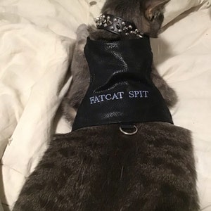 Safetykatz Walking Jacket Red Custom Made Cat Reversible | Etsy