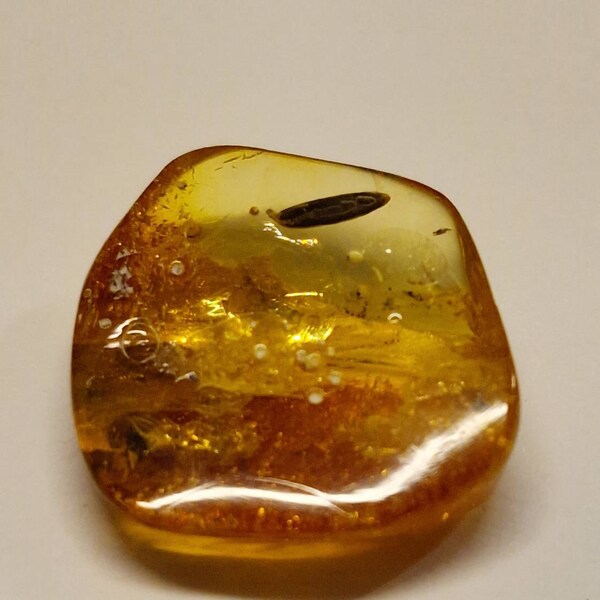 Baltic Amber Inclusion 9794 Nice Spider More Inside in Large Amber ...