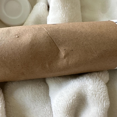 South Carolina State Tree Art Print, Sabal Palm Tree Wall Art, State ...