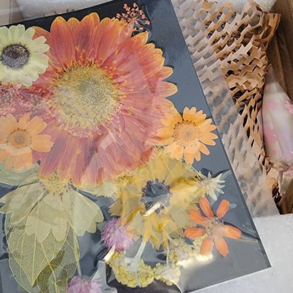 DIY Pressed Flower Frame Art Kit: Make Your Own Herbarium Art Floating ...