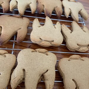 Anatomical Molar Tooth Cookie Cutter Dental Teeth Biscuit - Etsy