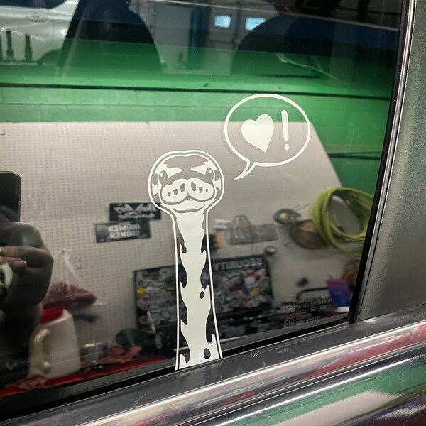 Peeking Ball Python Decal - Periscoping Snake, Serpent, Boa, Reptile ...