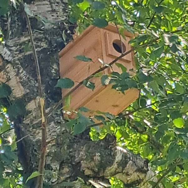Dove Nesting Box, Large Nesting Box, Dove House - Etsy