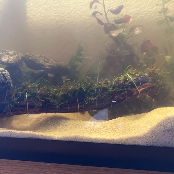 Terrarium Substrate Mix (premium Blend) | Terrarium Soil, Vivarium ...