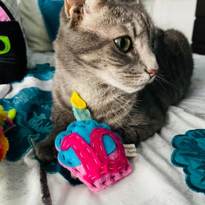 Bomb Pop Cat Toy Organic Catnip Wool-blend Felt - Etsy