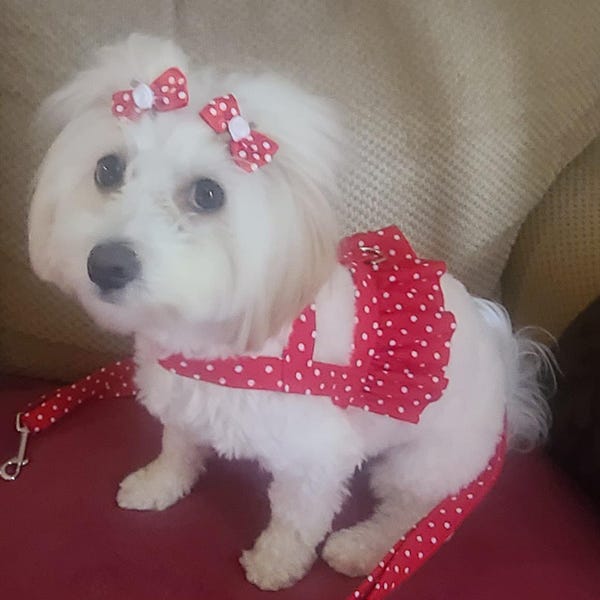 Dog Harness - Star Spangled Easy-on Dog Harness - 9 Sizes - Etsy