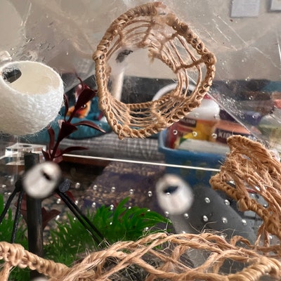 Fabric Mesh Ribbon for Jumping Spider Enclosures - Etsy