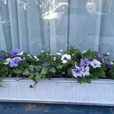 Extra Large Wooden Triple Open Bookcase Crafted With White - Etsy