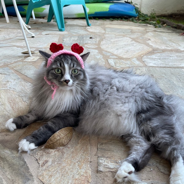Heart Headband for Cats, Valentine's Day Cat Accessories, Cat Photo ...