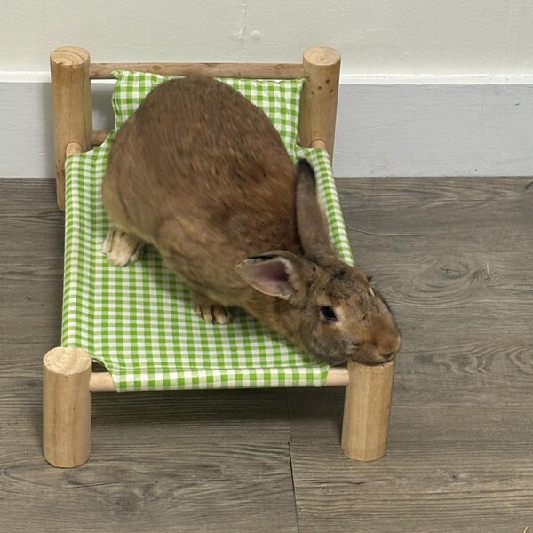 Rabbit Bunny Pet Bed, Wooden Bed With Pillow and Bedsheet Set, Multi ...