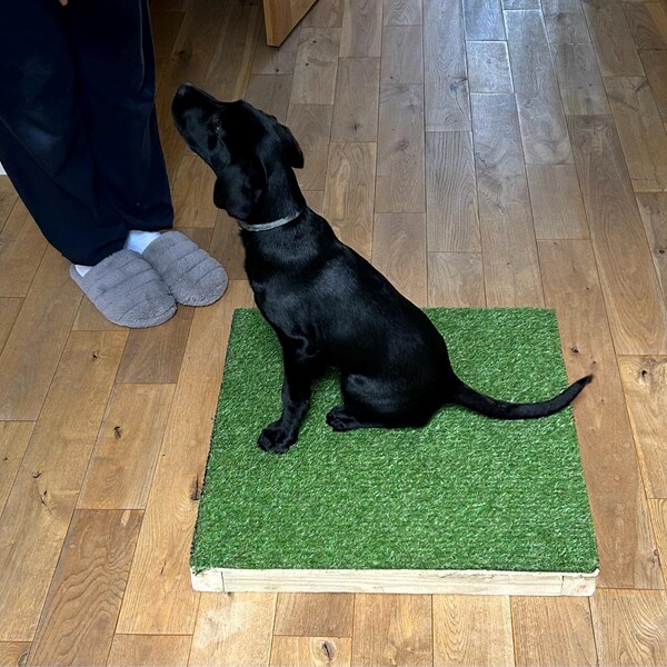 Dog Training Pivot Box and Place Board 2 Piece Bundle for Dog Agility ...