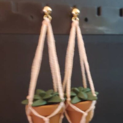 Pan Pride Flag Miniature Macramé Plant Earrings Pride Earrings ...