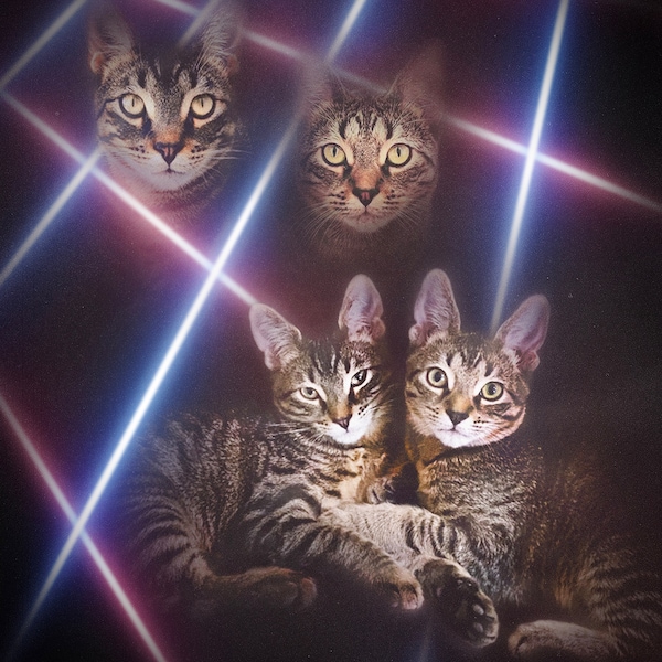 Custom 80s Retro Pet Portrait - Multi Pet - Double Exposure Digital Art ...