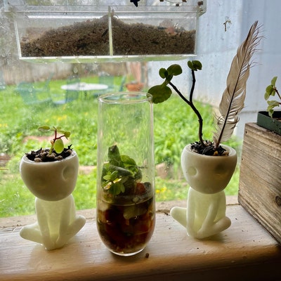 Kodama Japanese Tree Spirit Planter Succulent Air Plant - Etsy