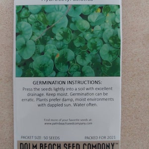 Che Tree Seeds cudrania Tricuspidata Packet of 5 Seeds | Etsy