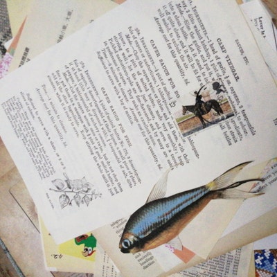 Vintage Paper Ephemera Pack. 75 Piece Mixed Paper Ephemera for ...