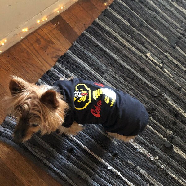 Matching Pet Owner Set, Dog Lover Gift, Couple Matching,pet Clothing ...