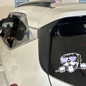 Danzig crystar Band Logo Vinyl Decal - Etsy