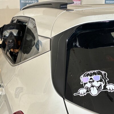 Danzig crystar Band Logo Vinyl Decal - Etsy