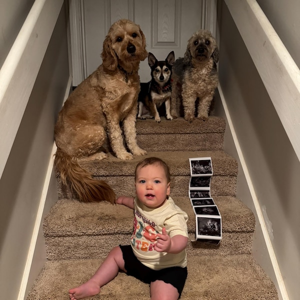 Little Sprout Baby Onesie®, Retro Little Plant Bodysuit, Tree Baby ...