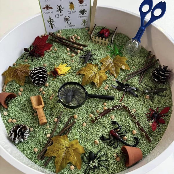 The Mini Minibeast Sensory Kit | Flashcards | Toddler Travel | Child’s ...