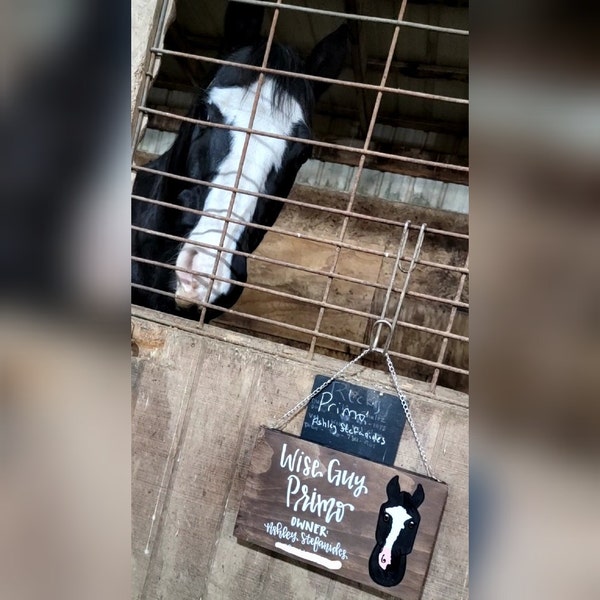 Hanging Show Stall Signs - Etsy