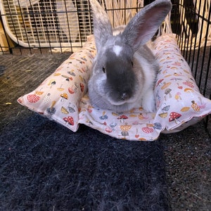 Bunny Snug Bed | Etsy