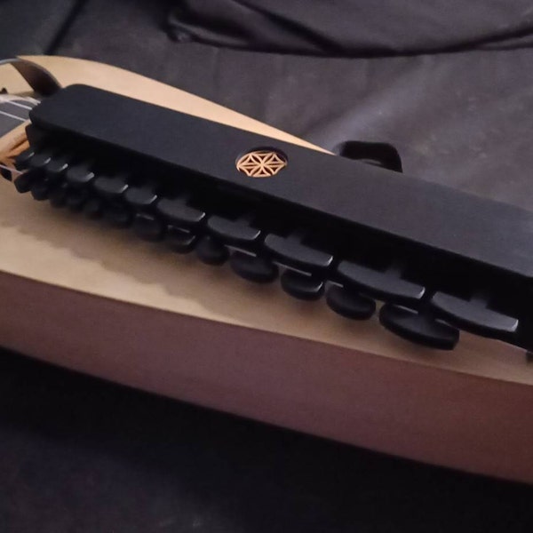 Black Colour Long Scale Hurdy Gurdy With a Trompette (buzzing Bridge ...